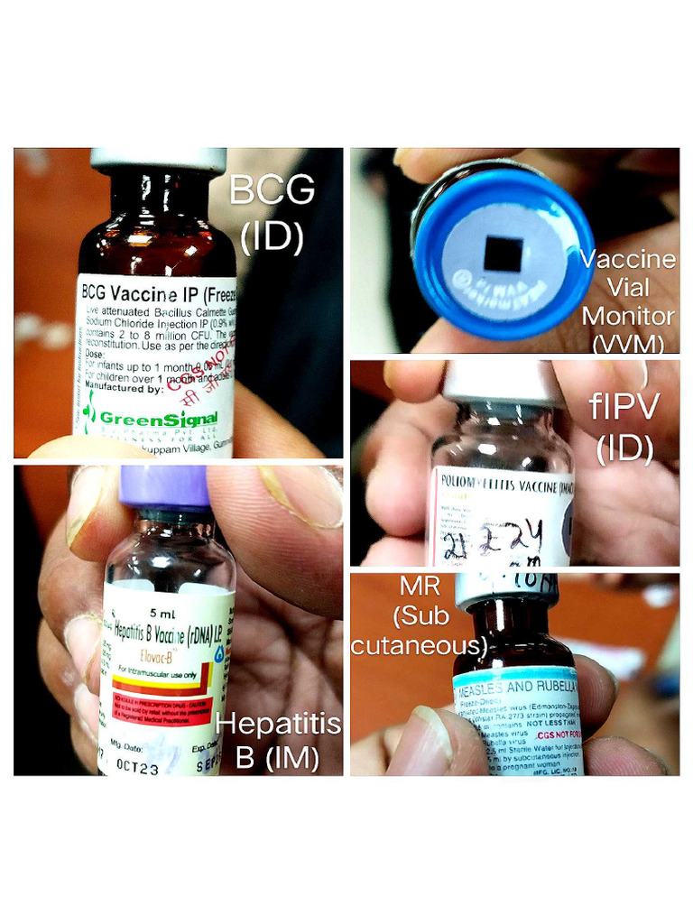 Spotters For Practical | PDF