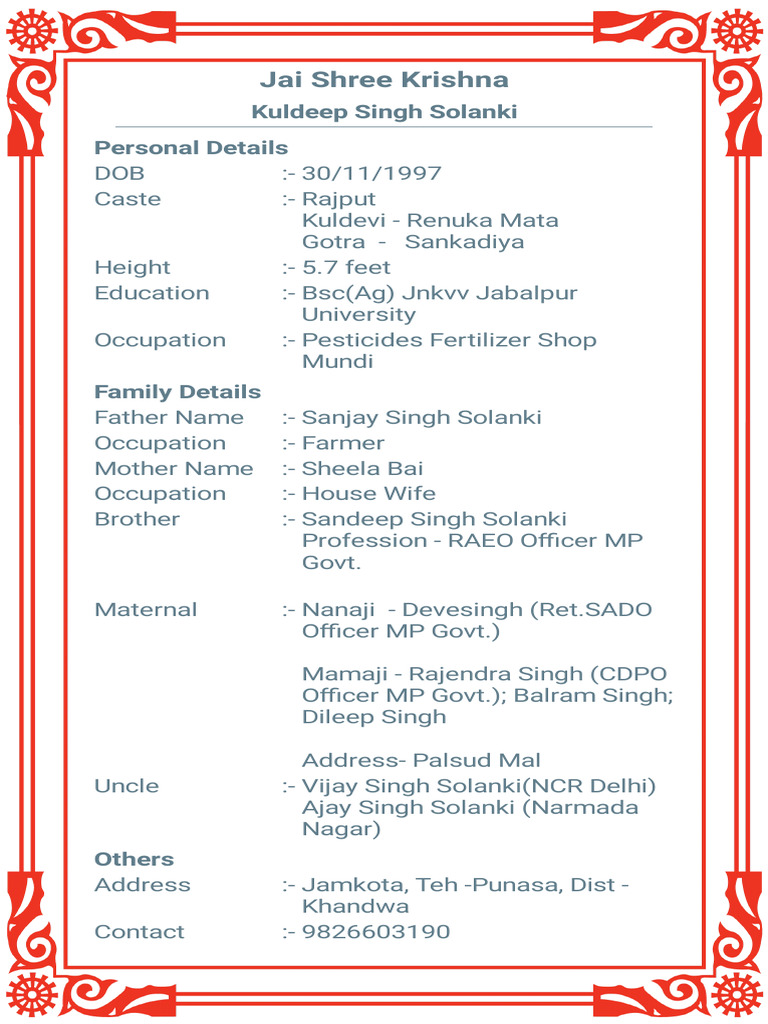 Biodata 2 Pdf