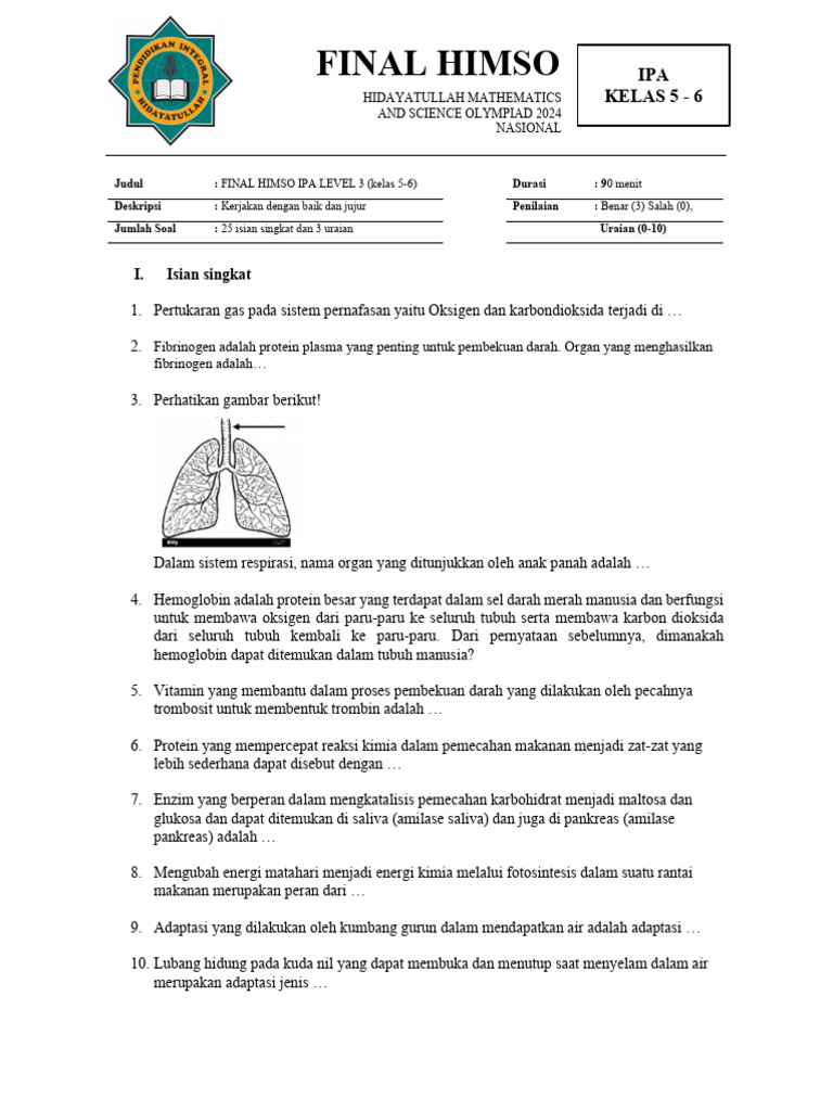 Final Himso Ipa Level 3 | PDF