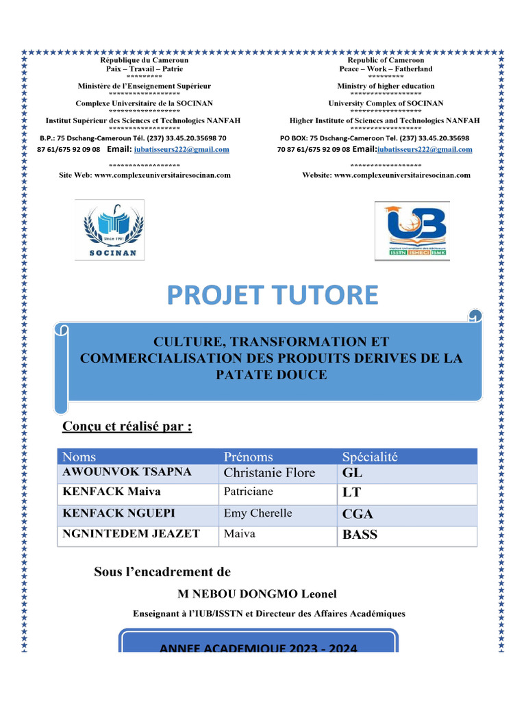 Valorisation de la Patate Douce : Projet Innovant | PDF | Marque ...