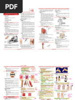 217 D2 - Leopold's Maneuver, FHT, FHM | PDF | Anatomical Terms Of Motion | Pelvis