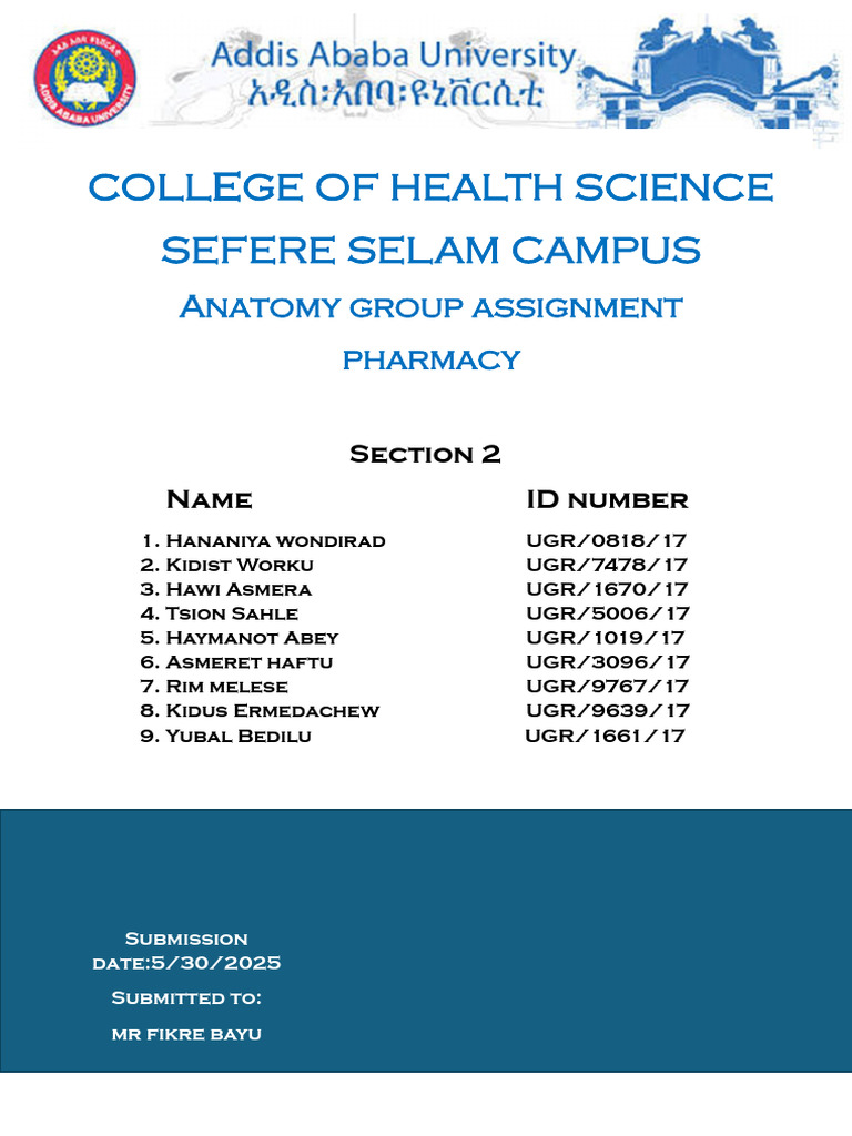 Anatomy Assignment Edited | PDF | Ear | Otorhinolaryngology