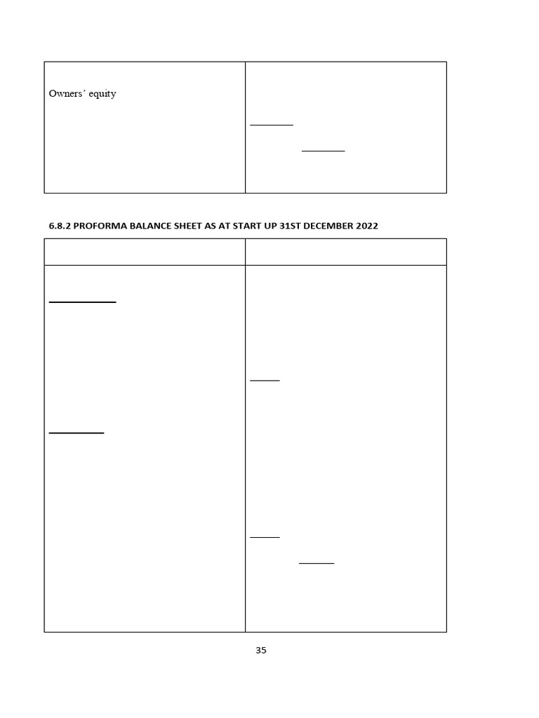 Milkah Business Plan Final Edited-44 | PDF