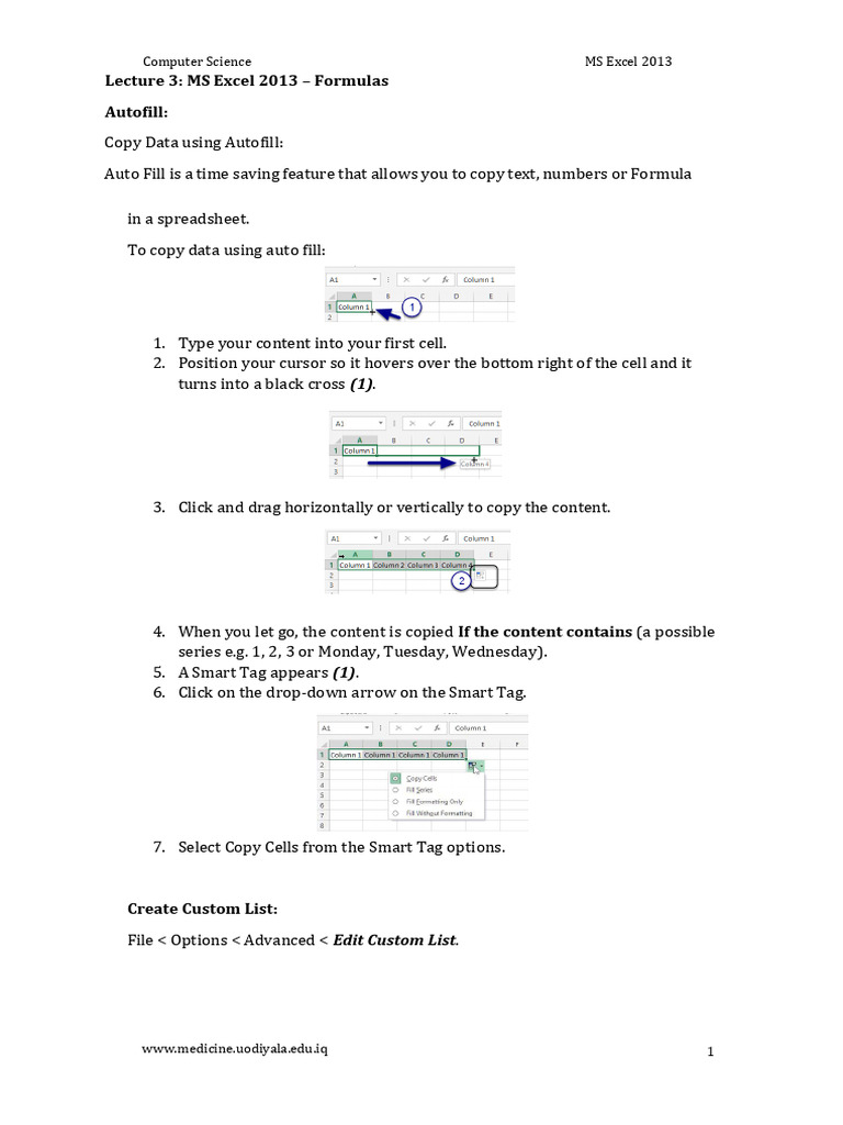 Lecture 3 MS Excel 2013 Formulas PDF