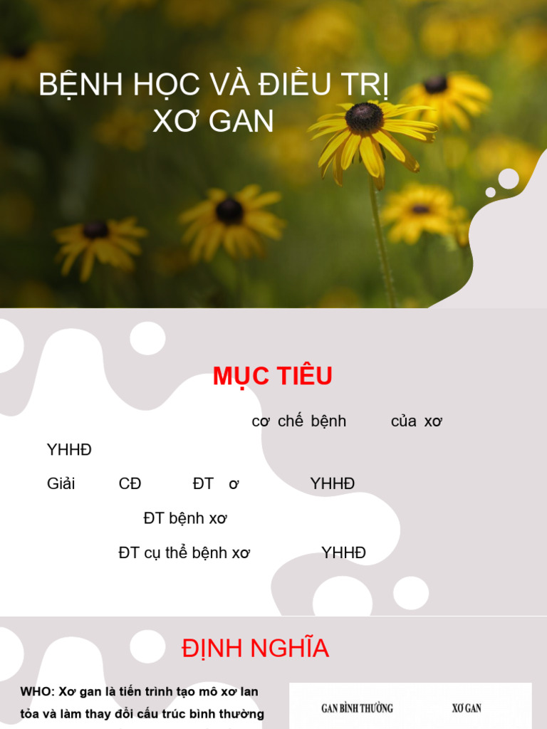 2021. Bệnh Học Và Điều Trị Xơ Gan | PDF