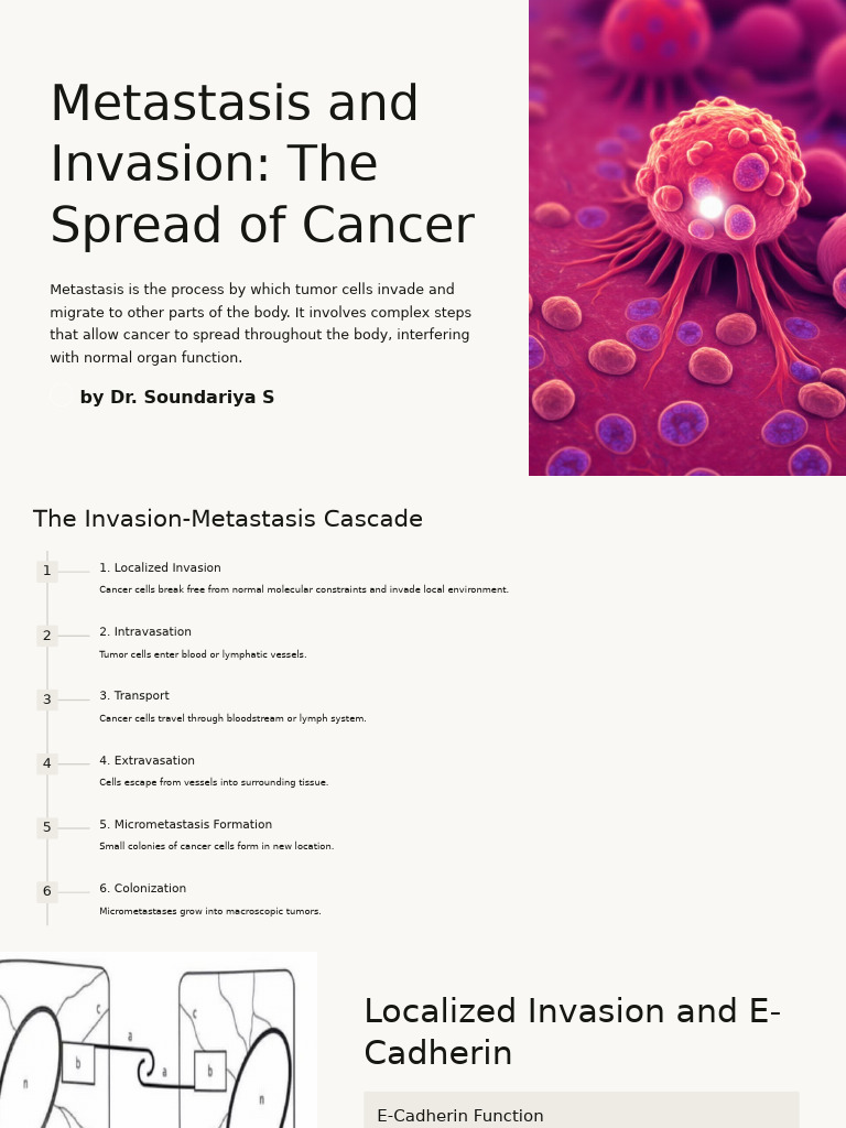 Cancer Metastasis and Invasion Overview | PDF | Metastasis | Anatomy