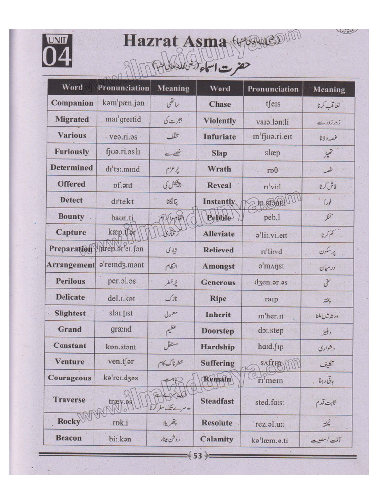 9th Class English Unique Notes New Syllabus Chapter 4 | PDF