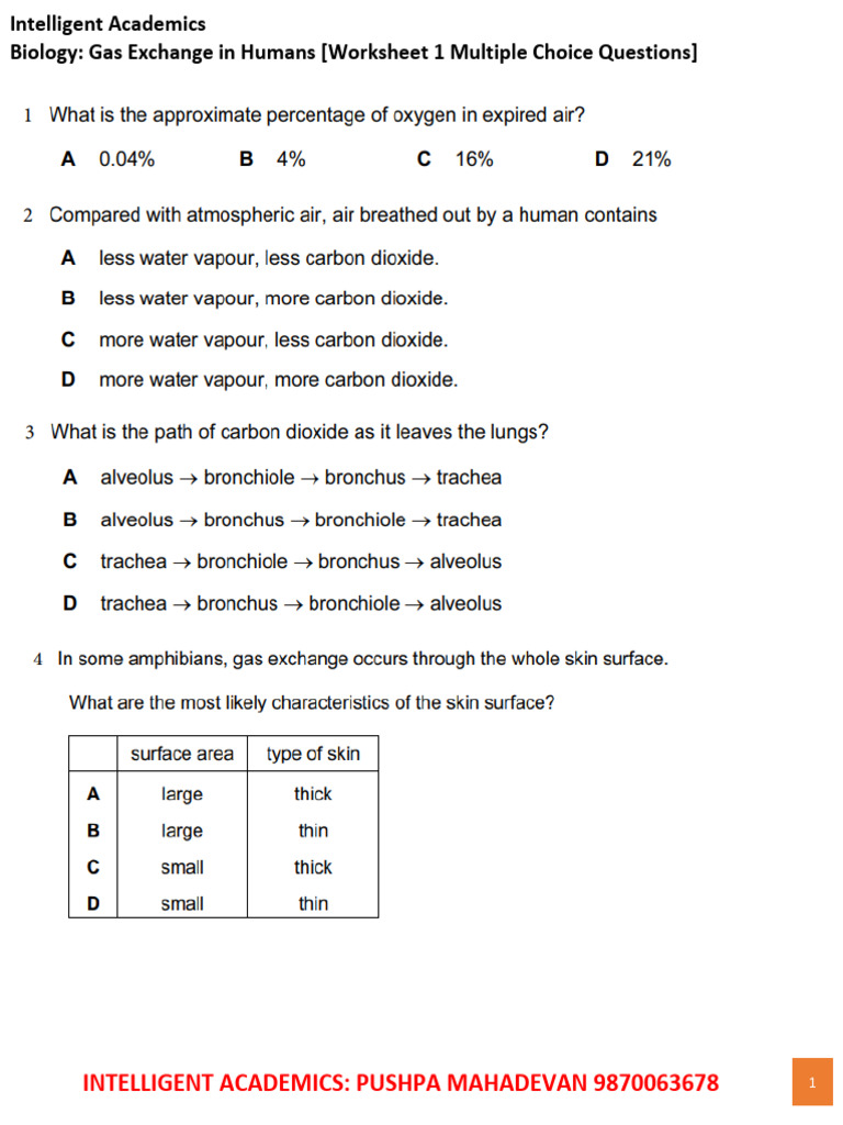 Gas Exchange in Humans - Paper 1 | PDF