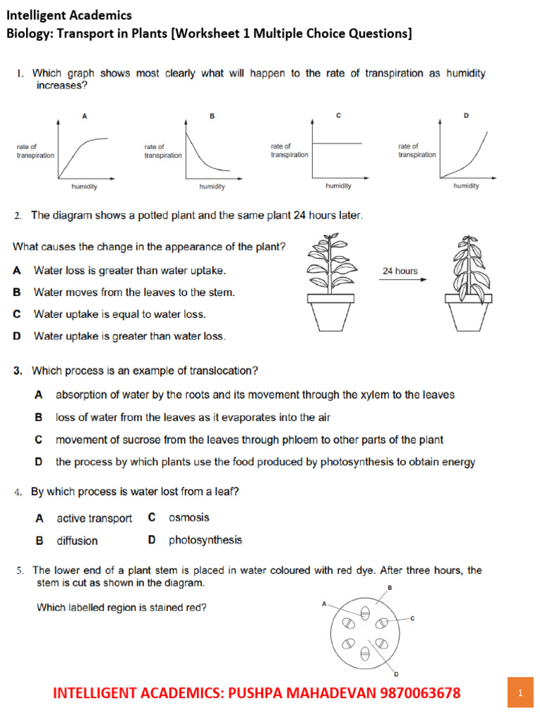 Transport in Plants - Paper 1 | PDF