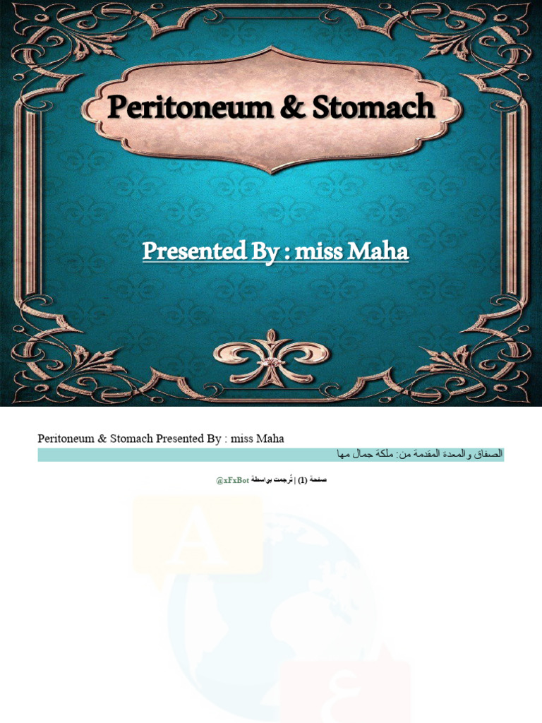 Peritoneum Stomach-Ar | PDF