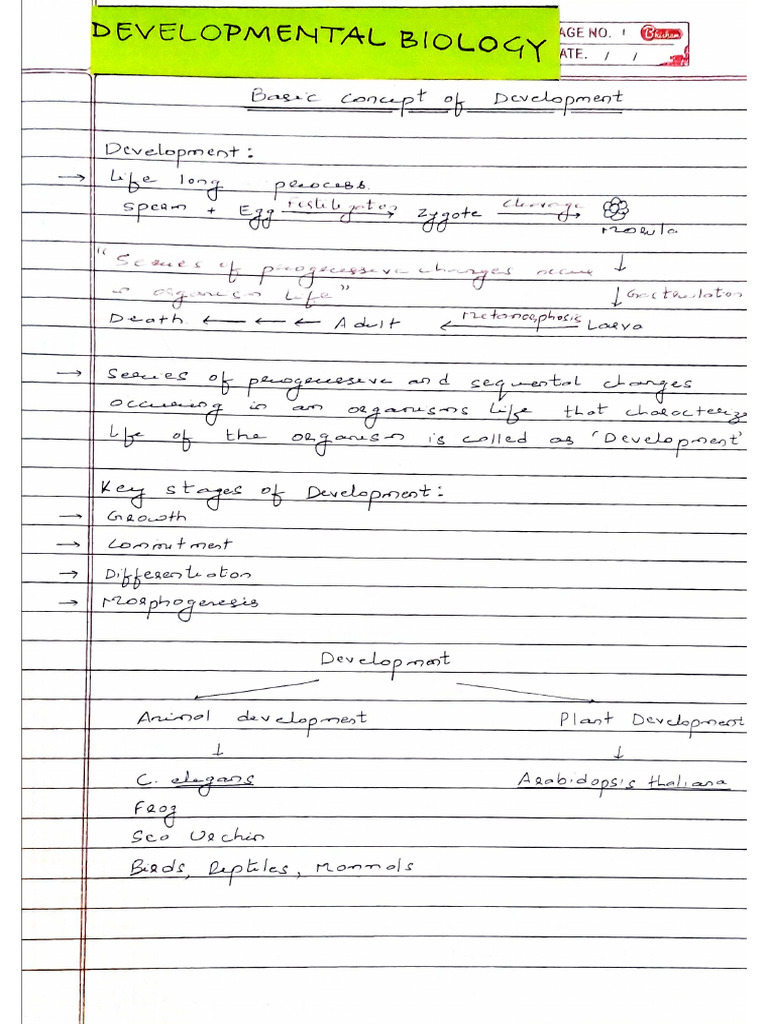 Developmental Bio | PDF