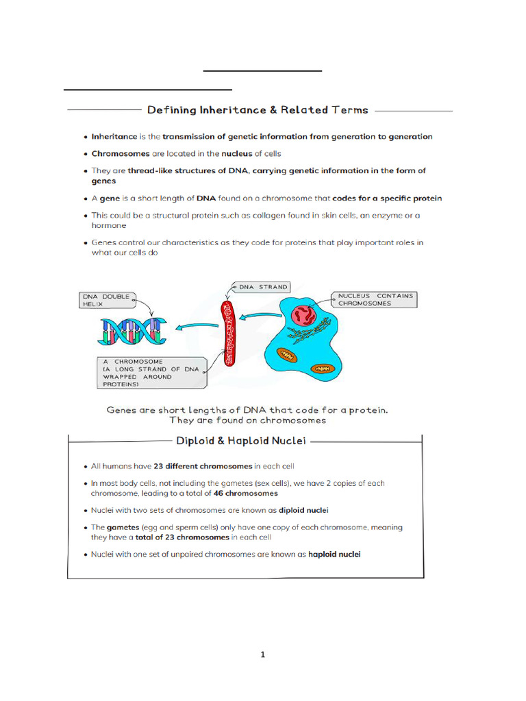 Grade 9 Biology CH 16 Notes Inheritance | PDF