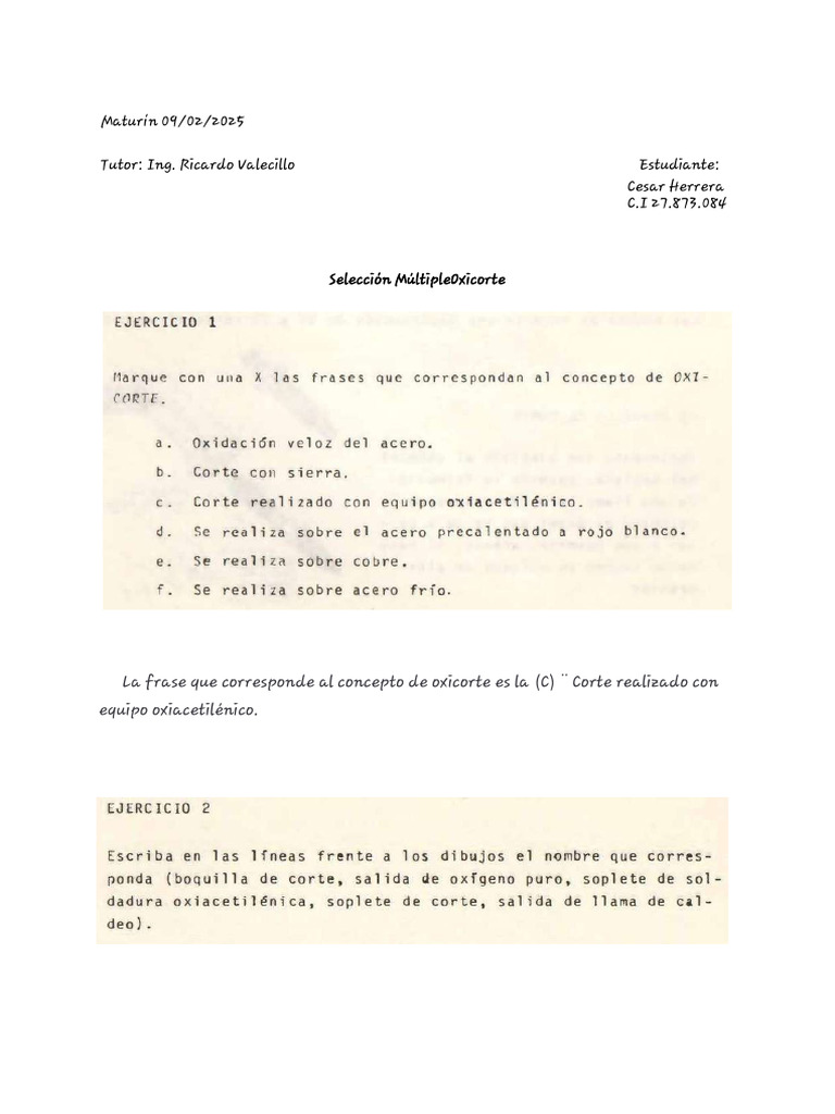 Examen Selección Multiple Cesar Herrera Soldadura-Compr | PDF