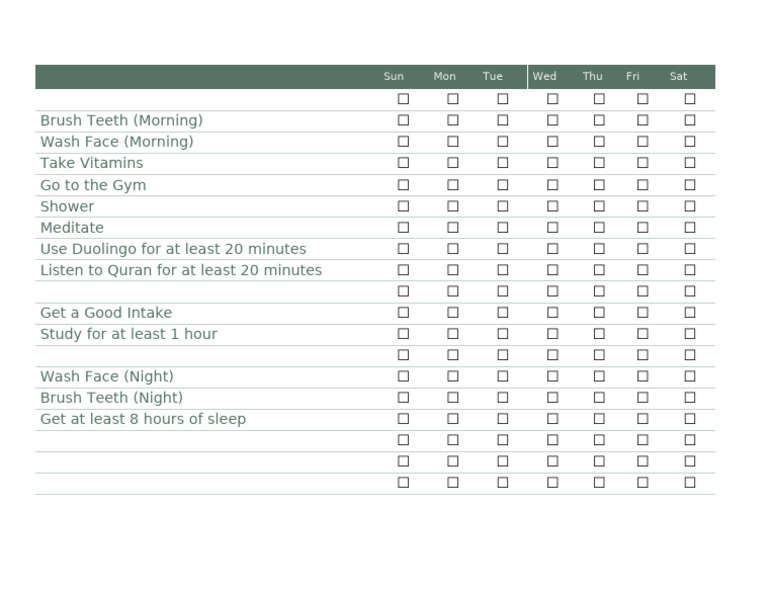 Weekly Checklist | PDF