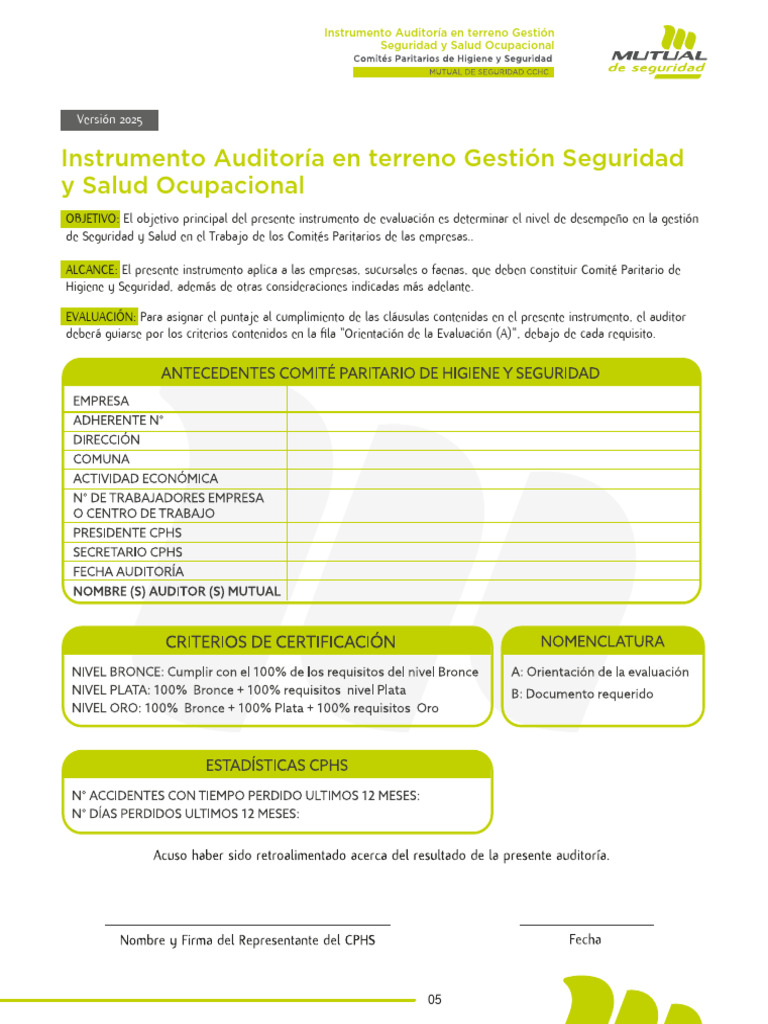 Instrumento Auditoría CPHS 2025 V2 | PDF | Seguridad y salud ocupacional | Auditoría