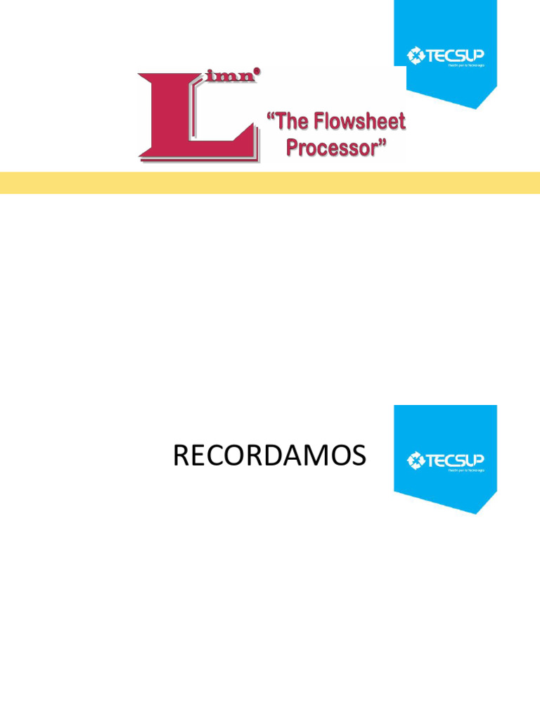 Modulo 1B Limn the Flowsheet Processor-1 | PDF | Teoría de control ...