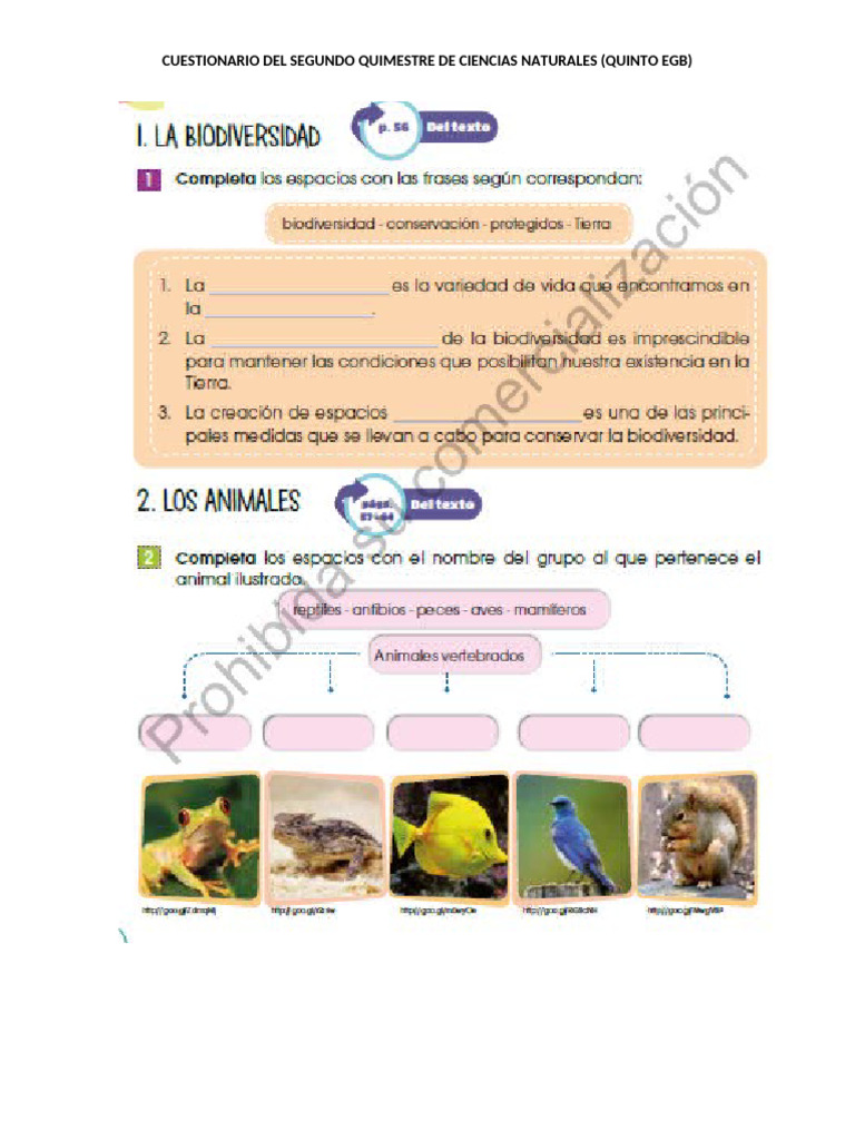 Cuest 5to (CCNN) | PDF