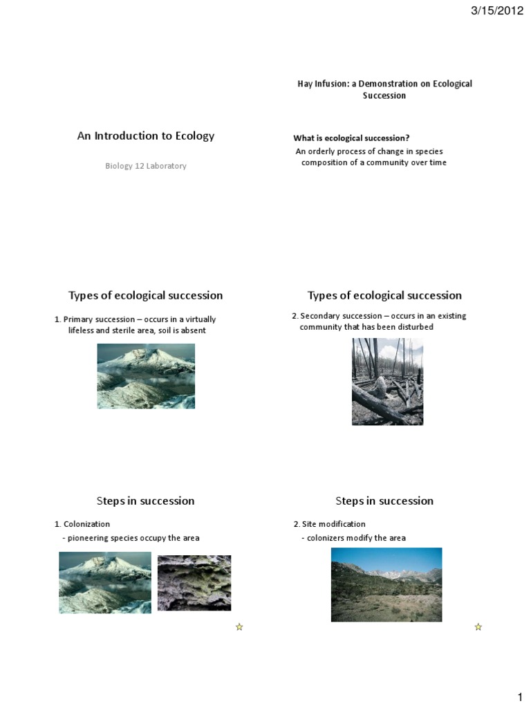 Understanding Ecological Succession | PDF | Ecology | Ecological Niche