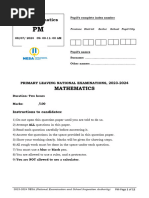 Math p6 Questions From Nesa | PDF | Area