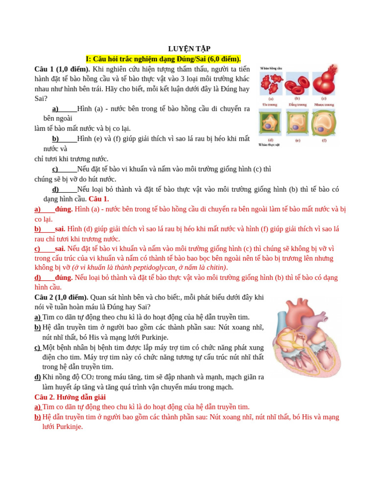 ĐỀ HSG LOP 12 | PDF