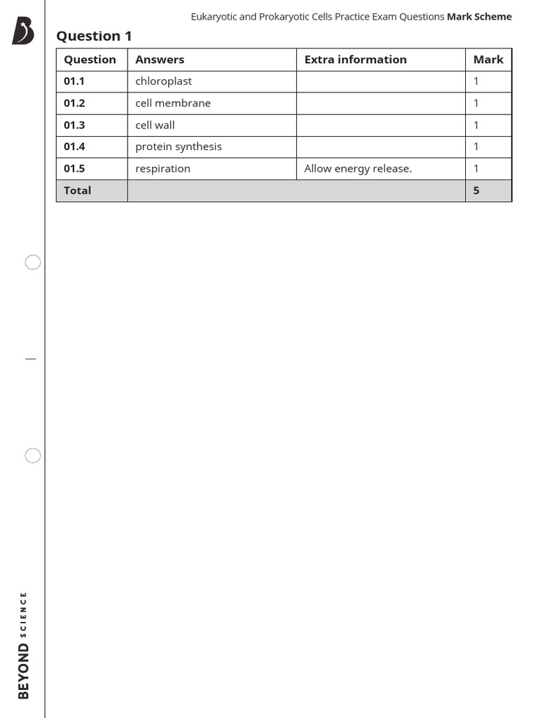 Eukaryotic vs Prokaryotic Cells Exam Guide | PDF | Cell (Biology ...