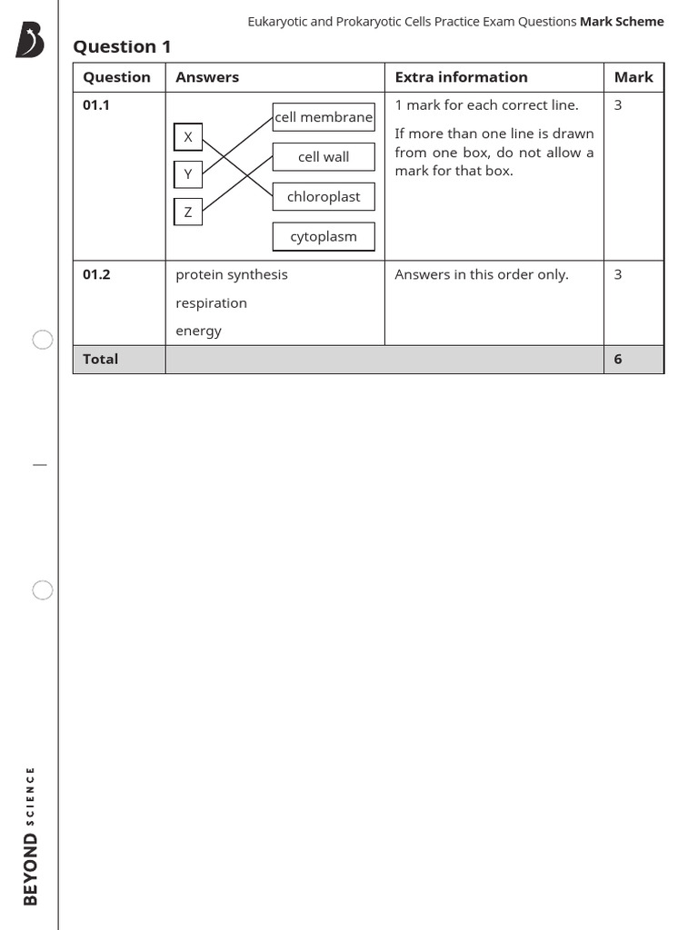 Eukaryotic and Prokaryotic Cells Practice Exam Questions Mark Scheme Foundation | PDF | Cell ...