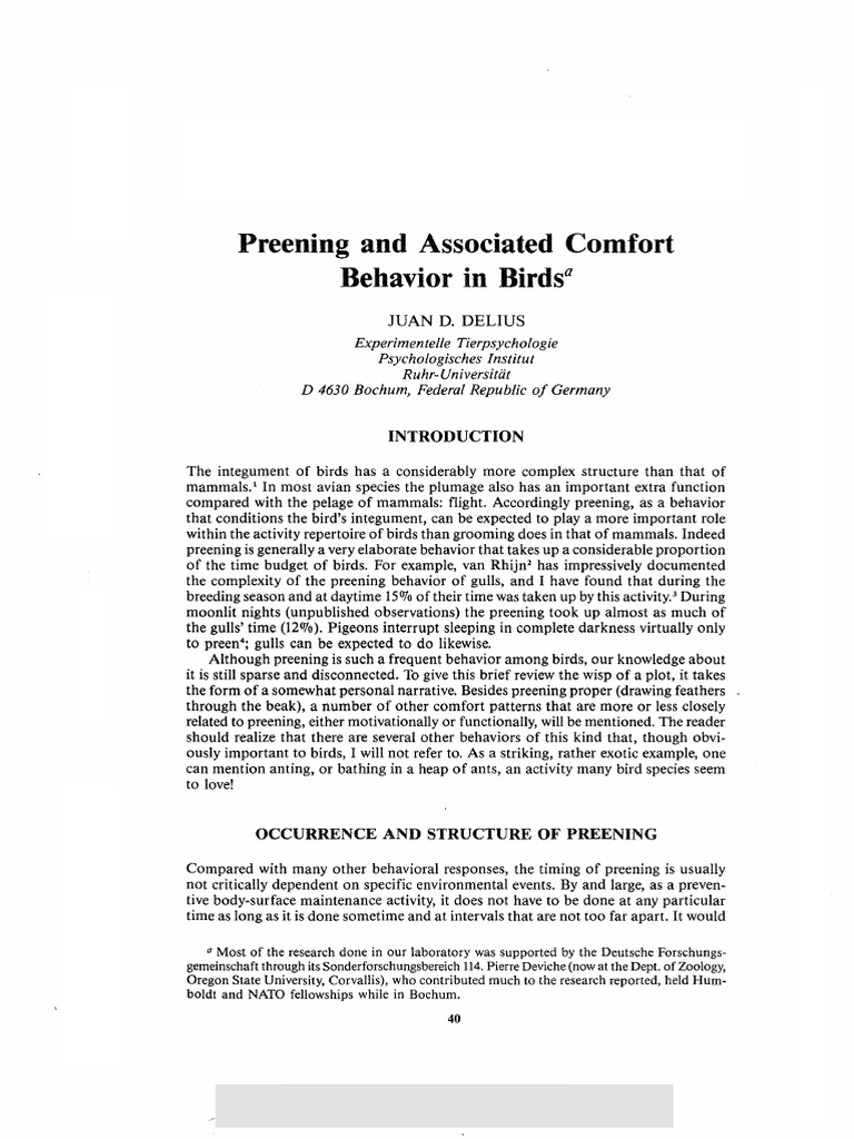 Preening and Assiciated Comfort Behavior in Brids | PDF ...