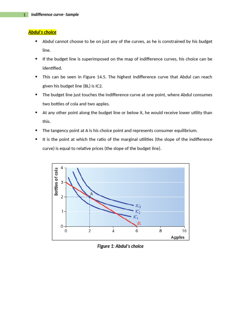 Indifference Curves and Budget Lines Explained | PDF | Economic ...