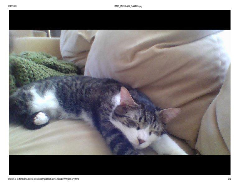 IMG_20200401_144443.jpg | PDF