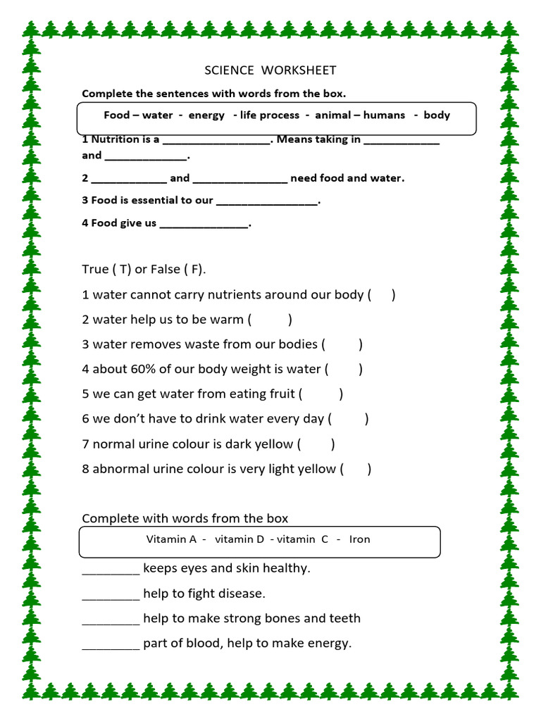 Science F Worksheet | PDF