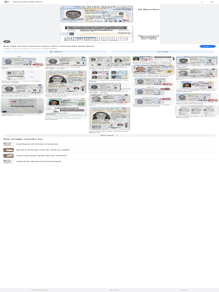 Driver License Back - Google Search | PDF | Department Of Motor ...