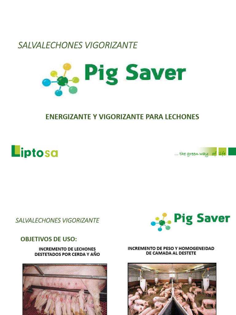 70d PPT Pig Saver y Piglac Es | PDF | Nutrición | Dieta y nutrición