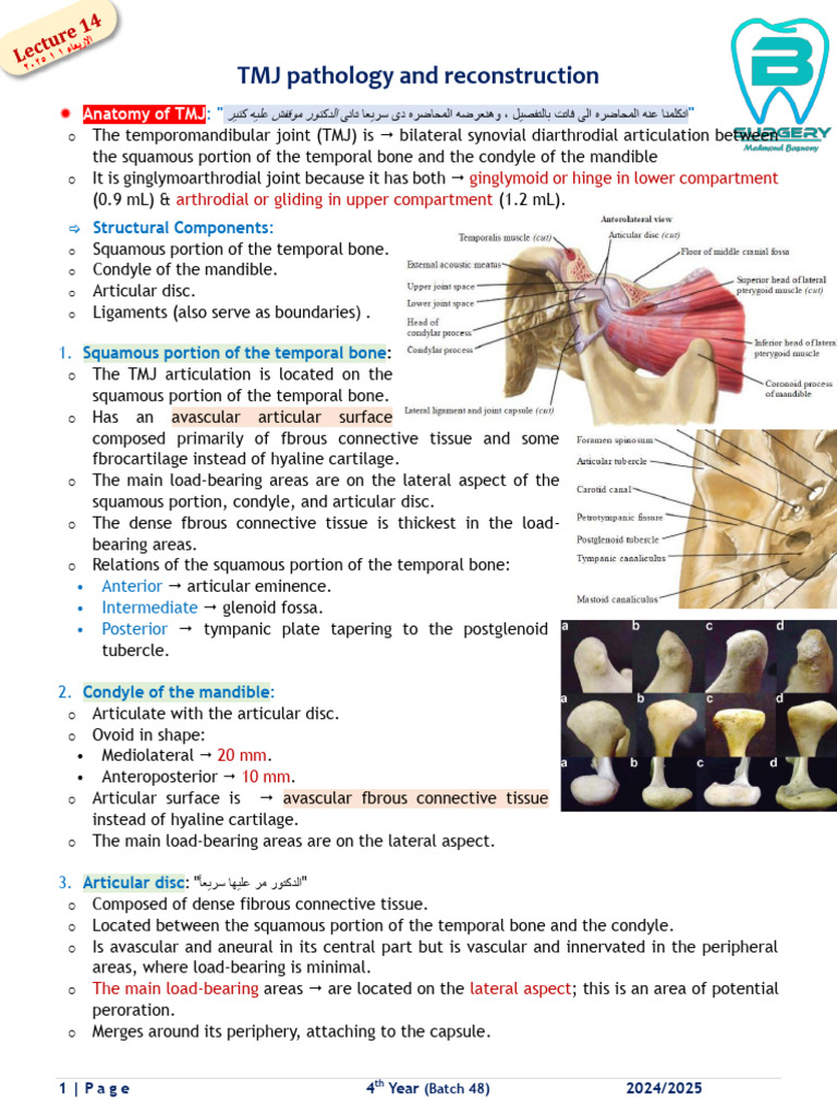 14 TMJ Pathology and Reconstruction | PDF | Medical Specialties ...