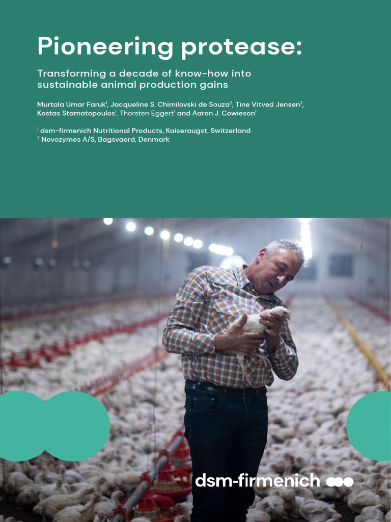 DSM Protease Booklet - 20250218 | PDF | Protease | Amino Acid