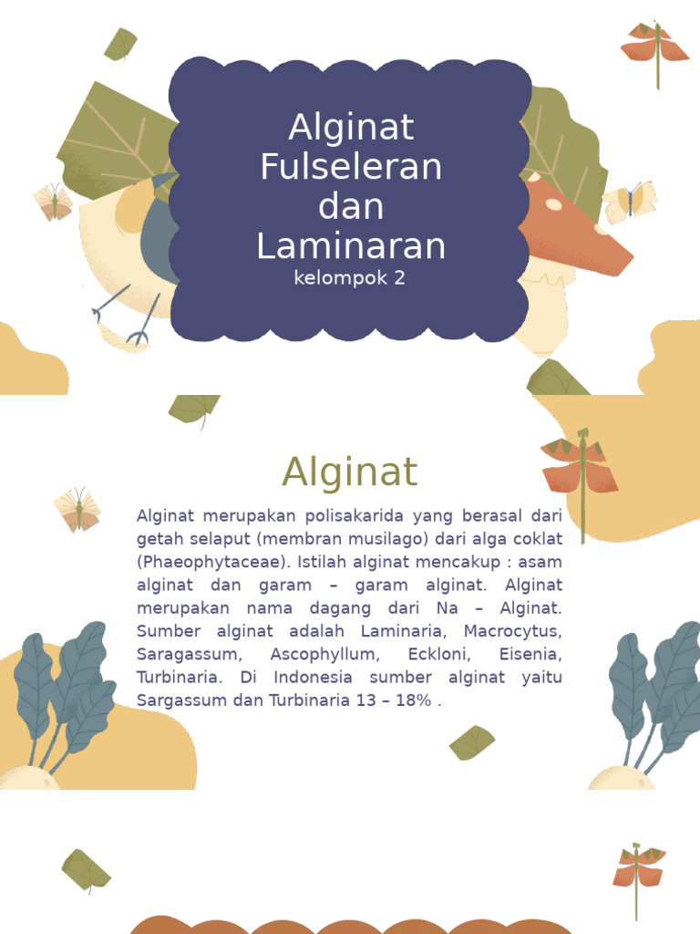 Alginat Fulselaran Dan Laminaran | PDF