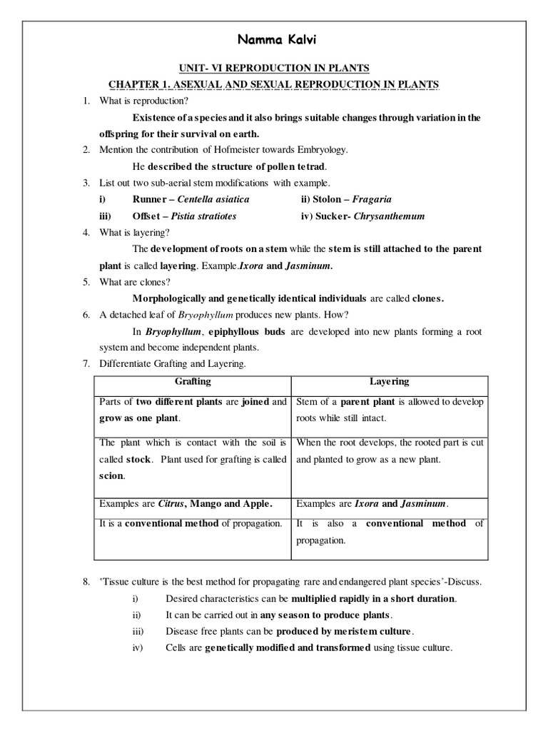 namma_kalvi_12th_bio-botany_book_back_questions_with_answers_em_219866 ...