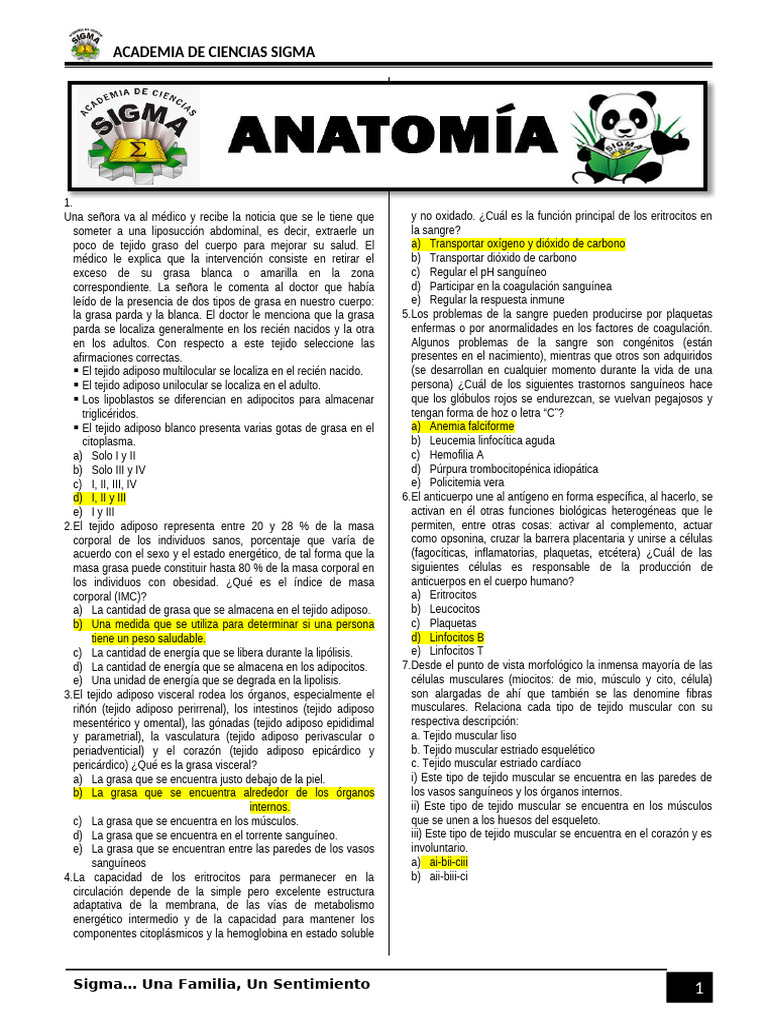 Muscular Nervioso | PDF | Tejido adiposo | Músculo