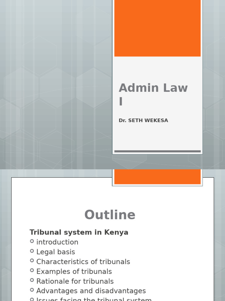 Overview of Kenya's Tribunal System | PDF | Tribunal | Governance