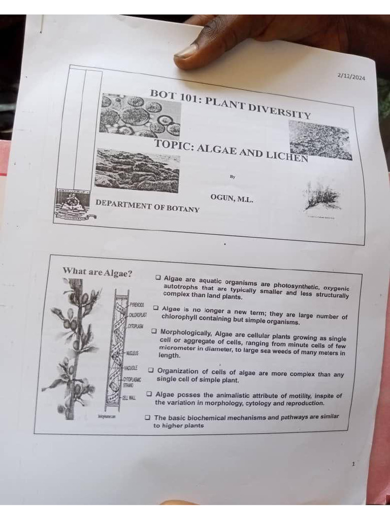 BOT 101 - Algae & Lichens | PDF