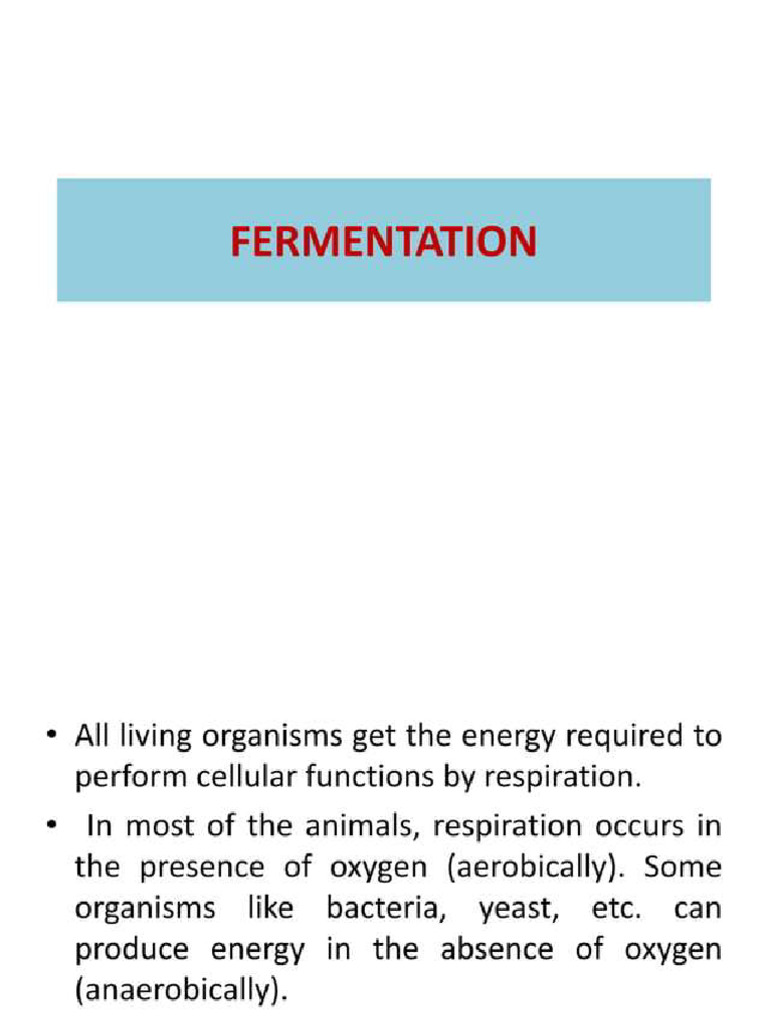Fermentation | PDF