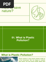 Plastic Pollution Presentation | PDF