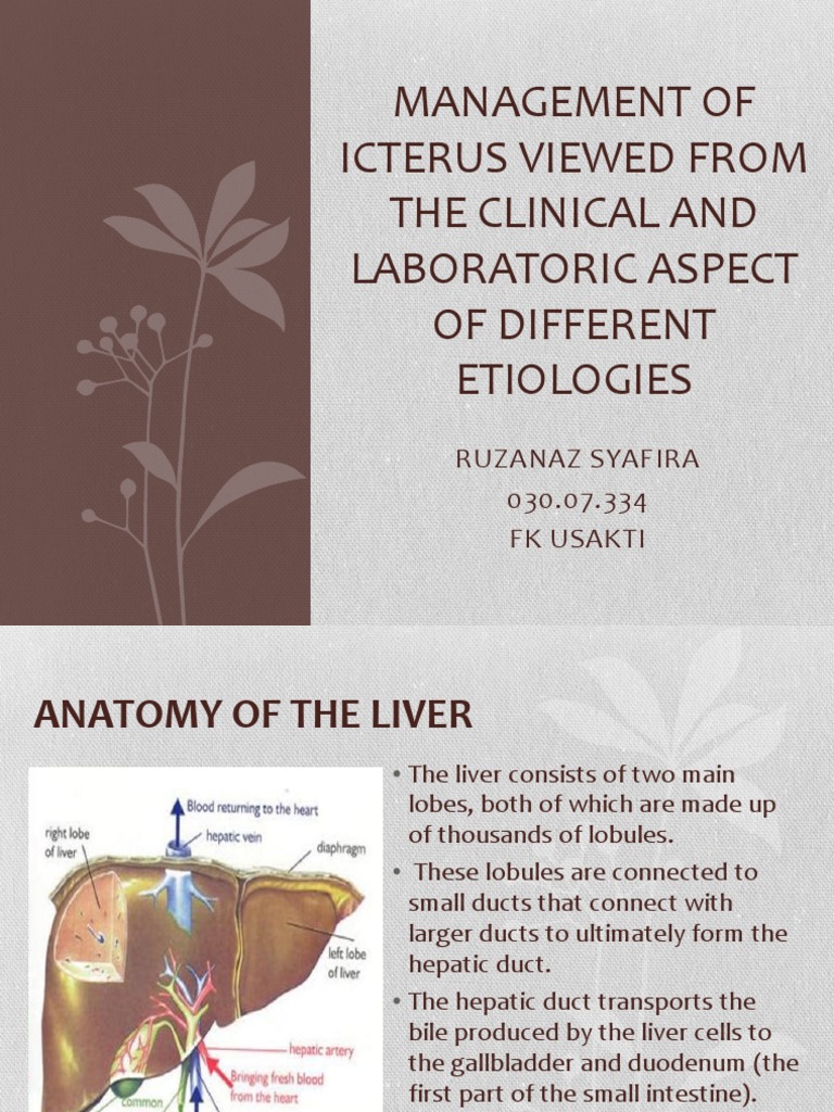 Management of Icterus Viewed From The Clinical and | Download Free PDF ...