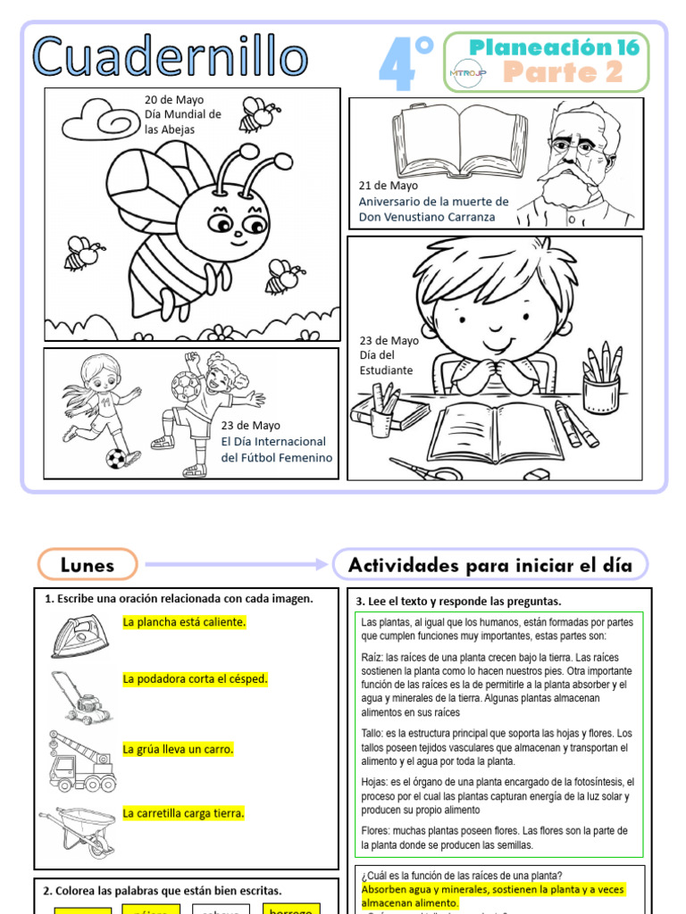 Solu Parte 2 4 - 2 | PDF | Infografia | Plantas