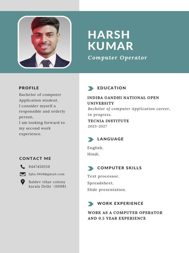 Harsh Kumar: Computer Operator | PDF