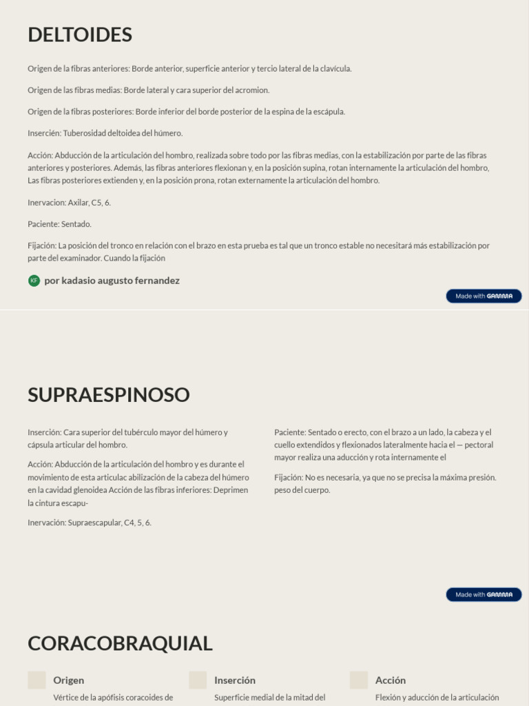 Deltoides Merged | PDF | Hombro | Rodilla