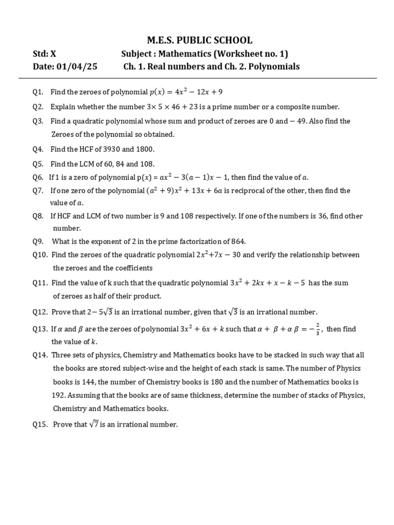 Class 10 Polynomial Introduction Worksheet | PDF