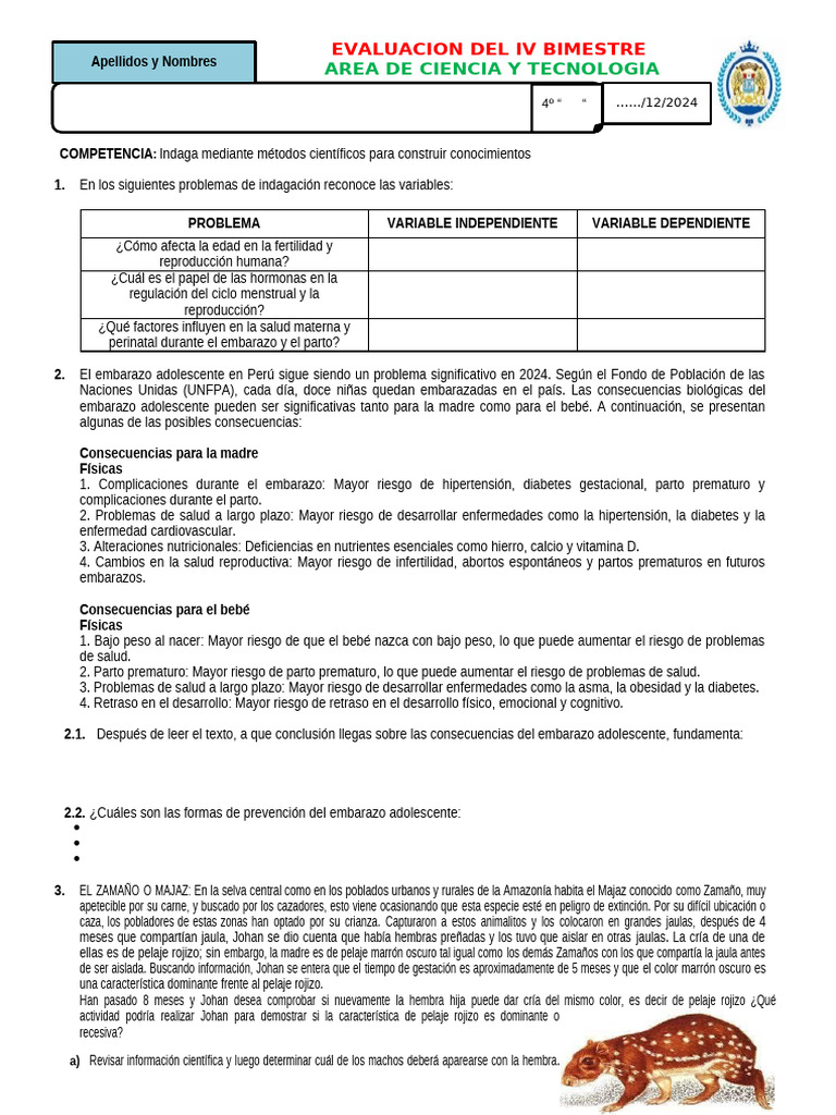 Evaluacion IV Bim 4º | PDF | Cigosidad | Alelo