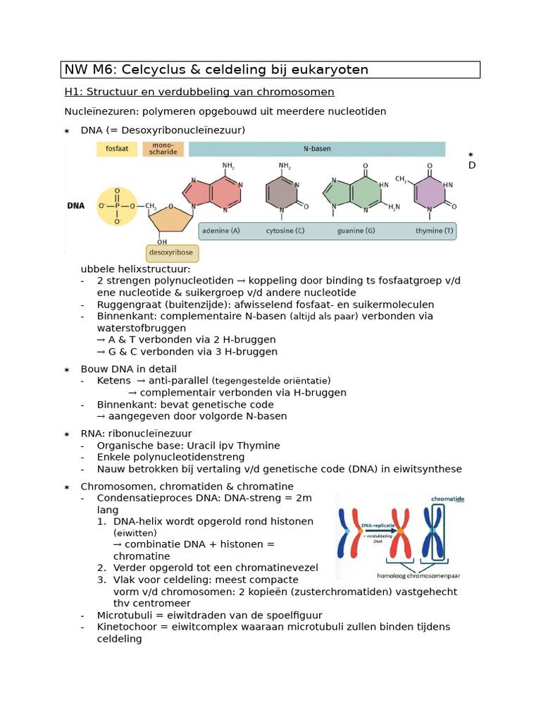 NW Module 6 | PDF