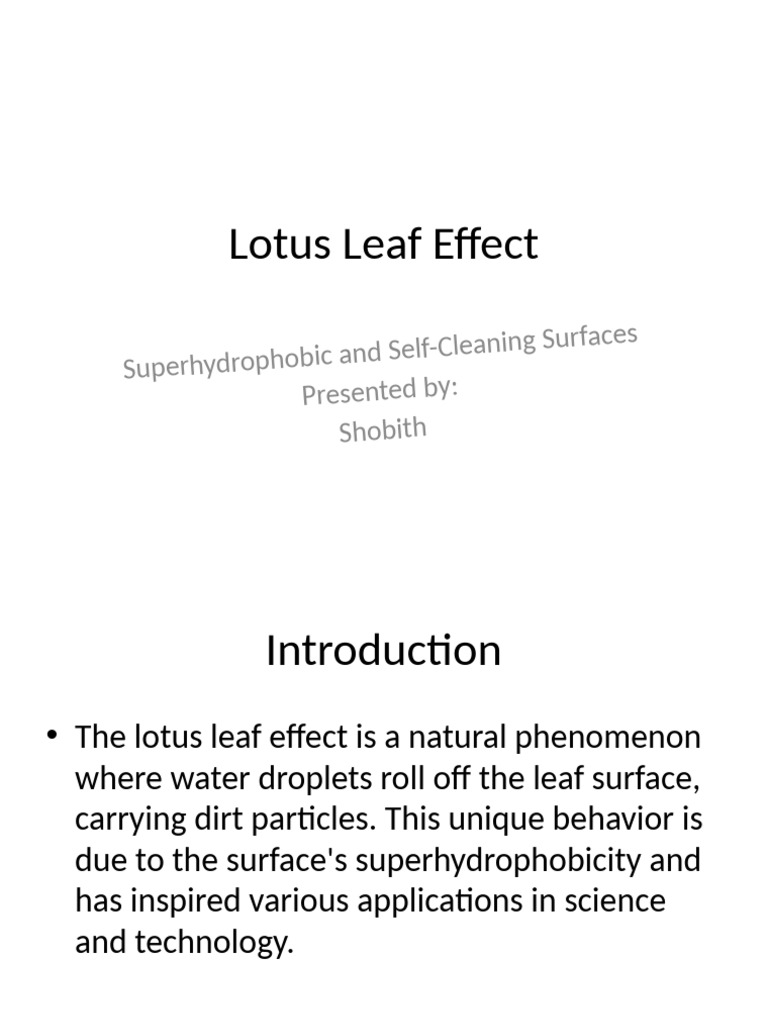 Lotus Leaf Effect: Applications & Benefits | PDF