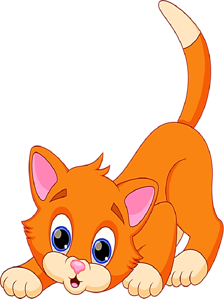 Gato | PDF